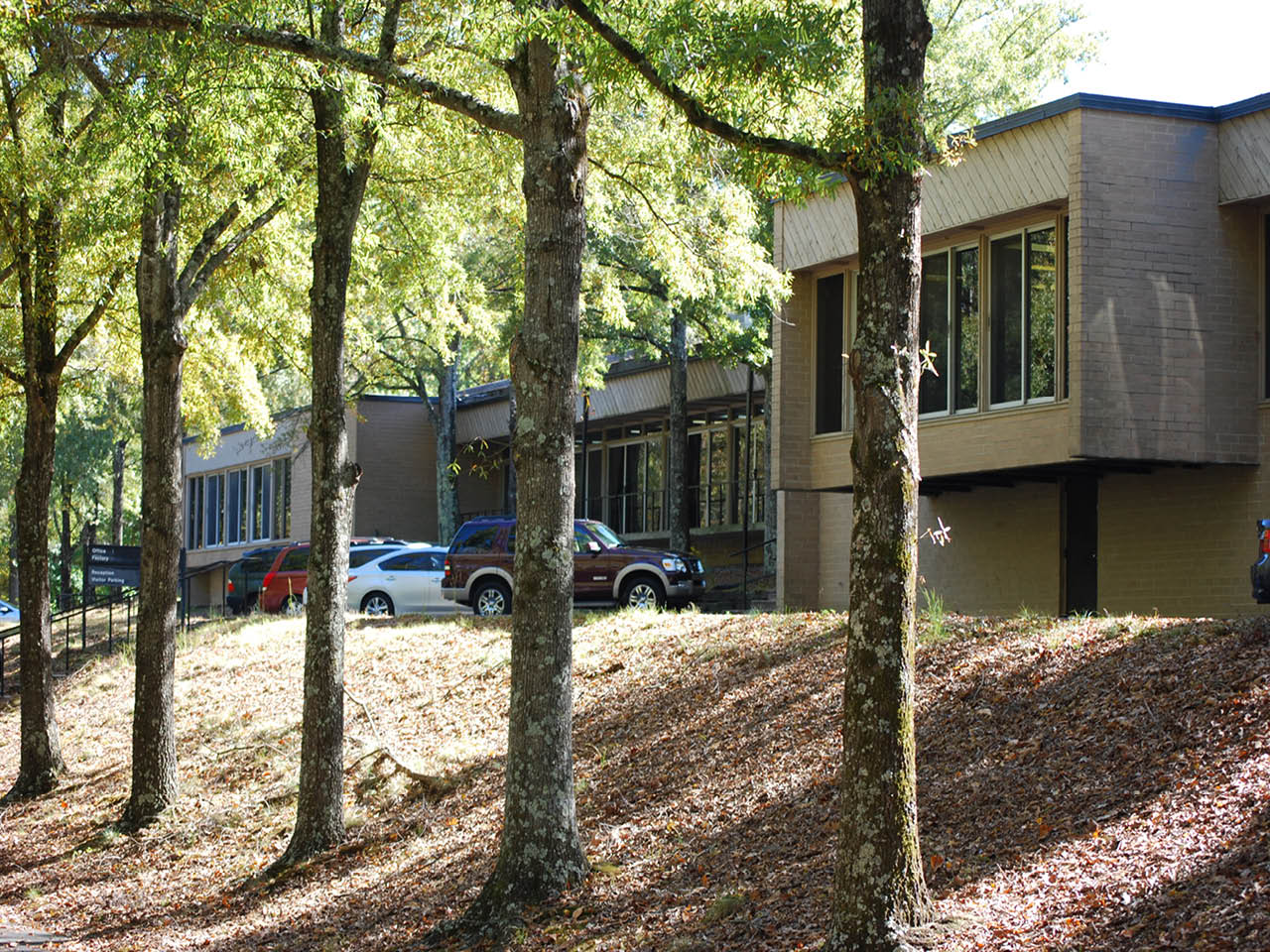 Homepage - Jack Cartwright